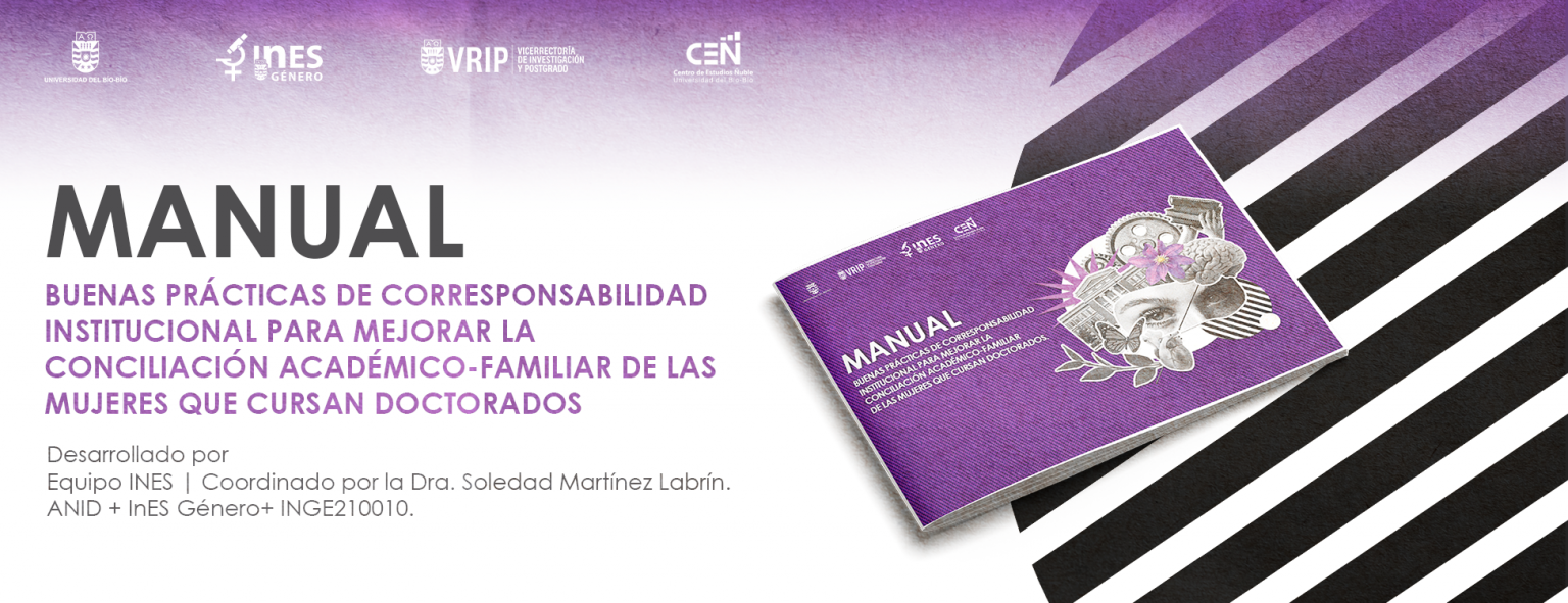 Manual INES – Centro de Estudios de Ñuble